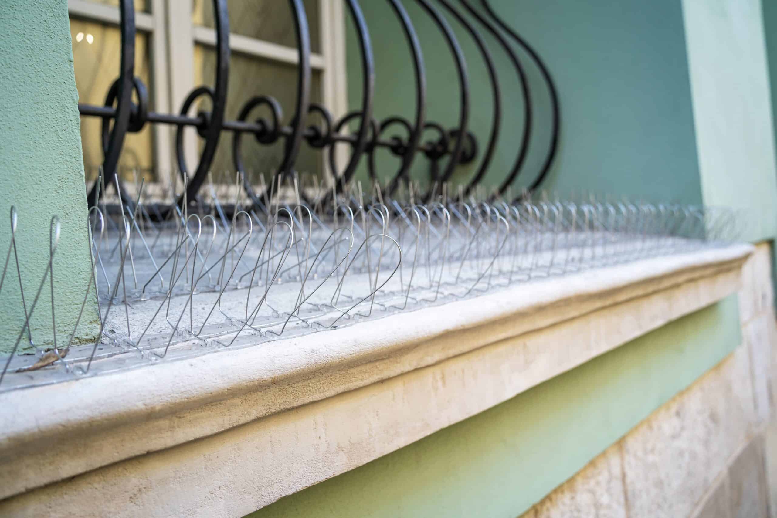 Heavy-Duty Steel Wall Spikes | Britannia Security Group